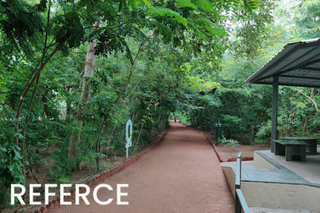 Top 10 Gardens in Ahmedabad for Nature Lovers