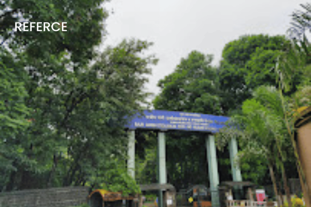 Top 10 Zoos in India for a Wild Adventure